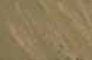 Oil Paint Artist Color Mudstone – Stone Art Supply